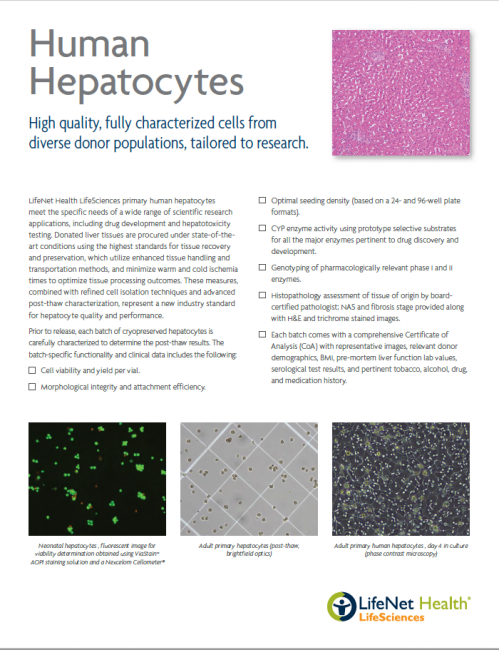Primary Human Hepatocytes